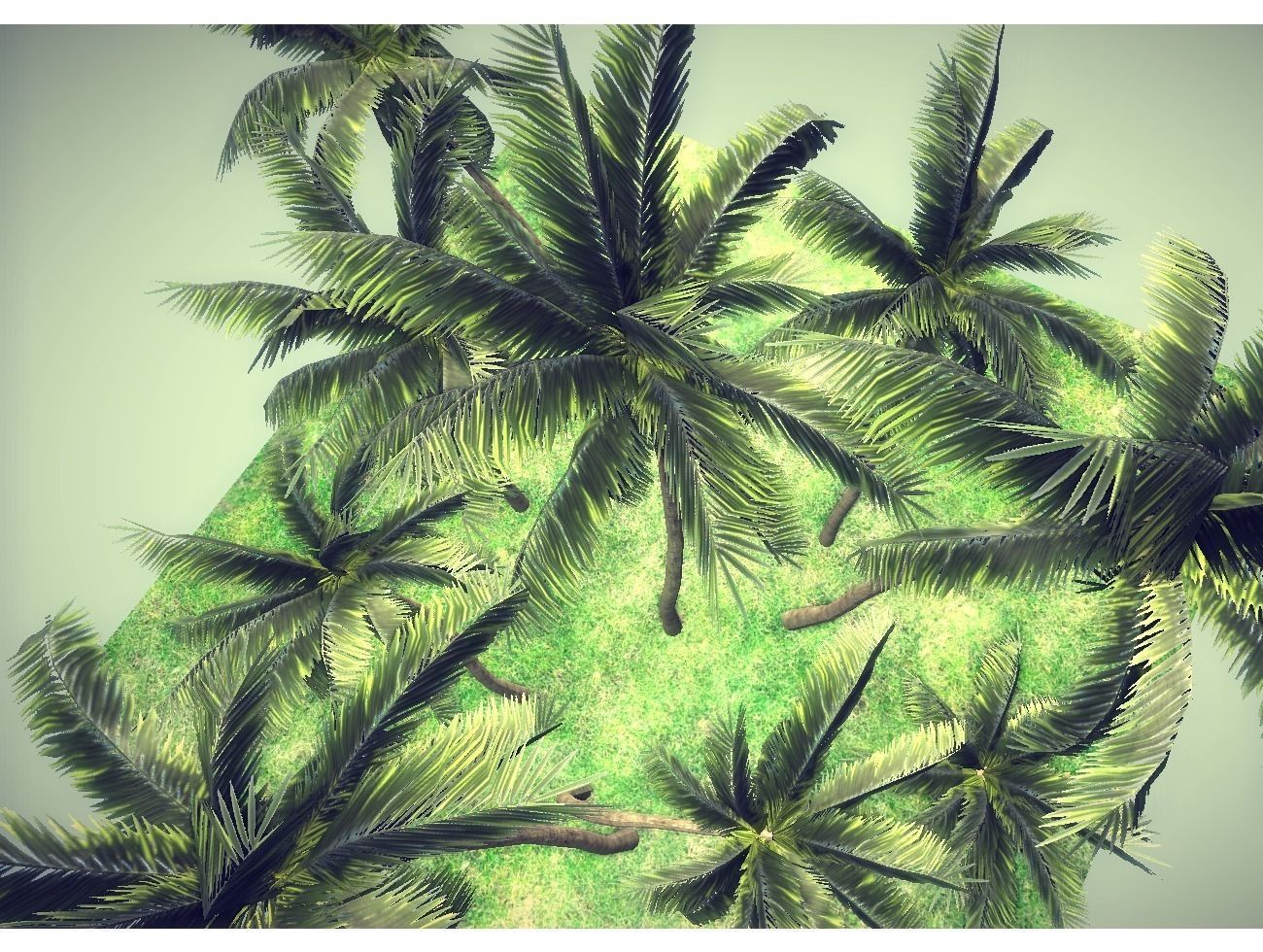 3D model low poly palms pack VR / AR / low-poly | CGTrader