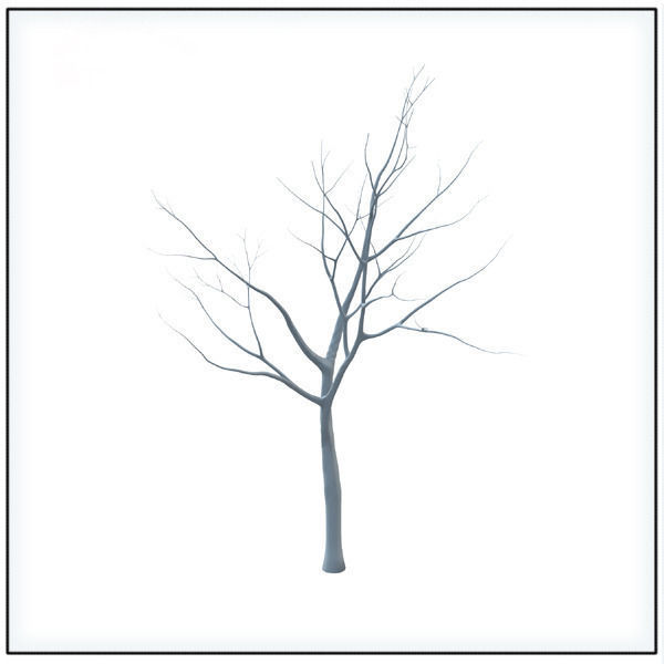Common Tree STL Printable 3D Model 3D printable OBJ STL - CGTrader.com