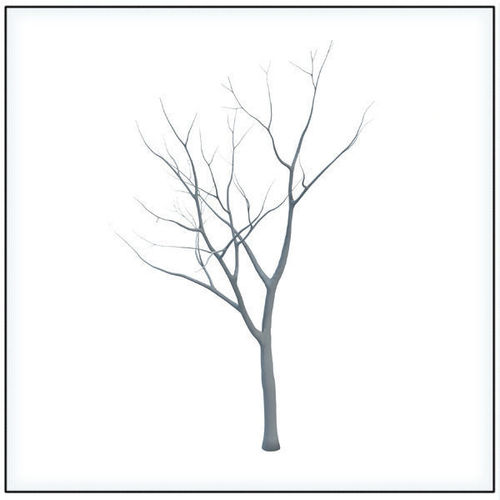 Common Tree STL Printable 3D Model 3D printable OBJ STL - CGTrader.com