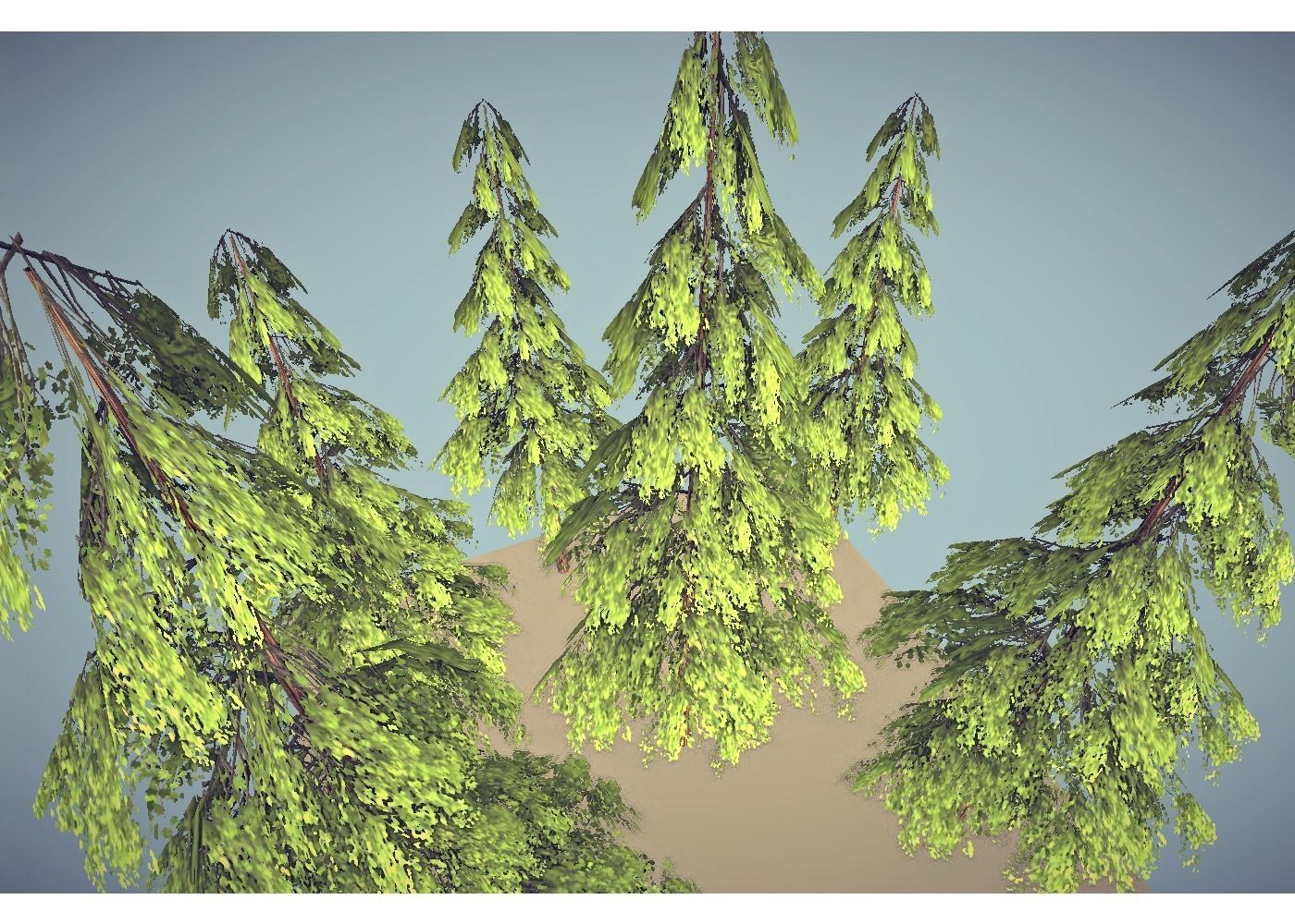 pine tree free 3D model | CGTrader