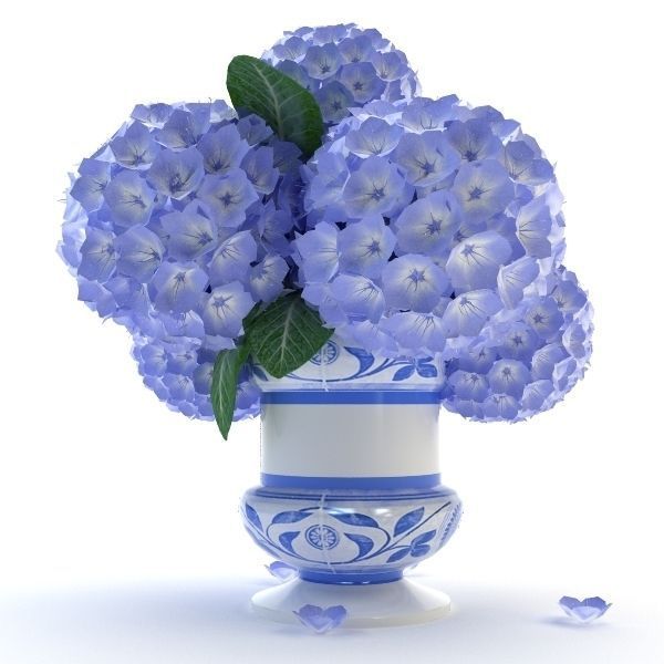 Blue Plants in Pot 3D model | CGTrader