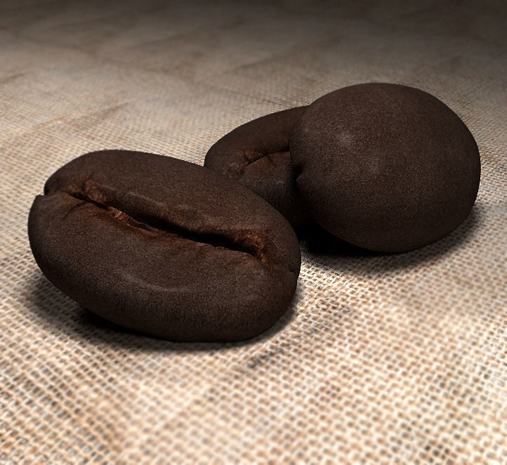 coffee bean 3D model | CGTrader