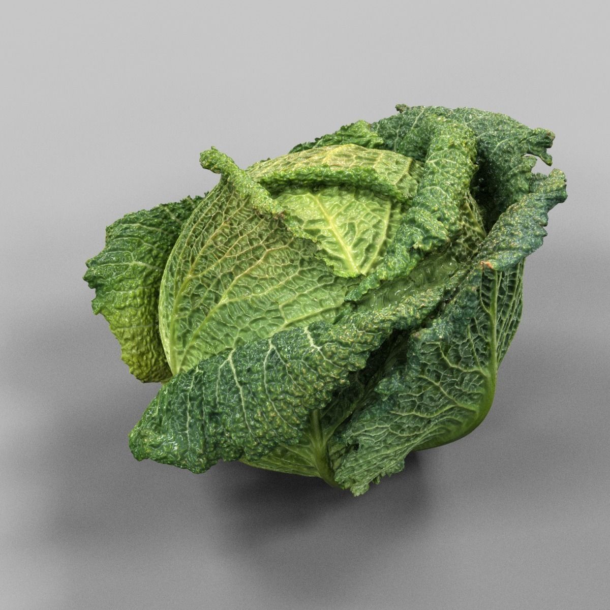 3D model Savoy Cabbage VR / AR / low-poly | CGTrader