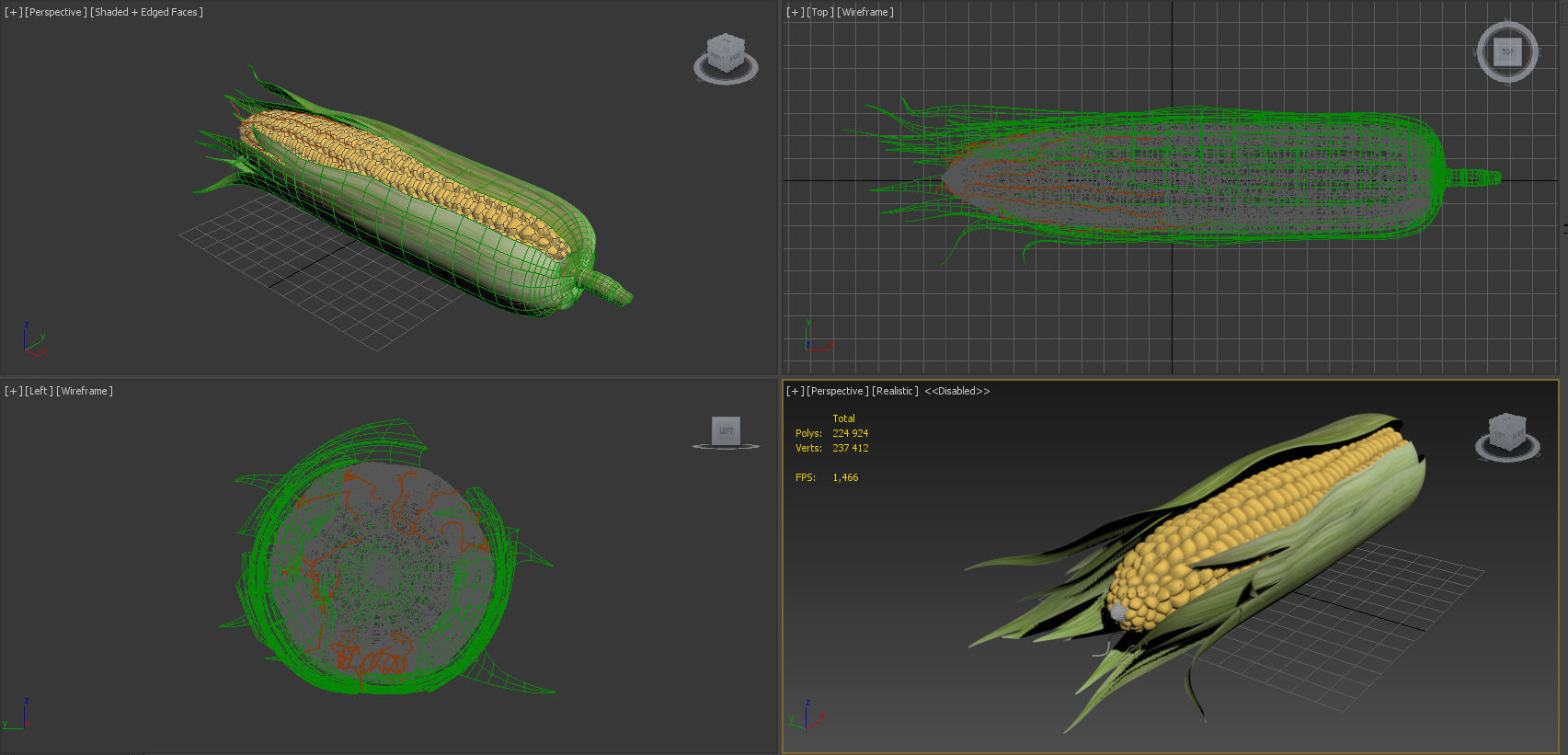 Realistic Corn 3D model | CGTrader