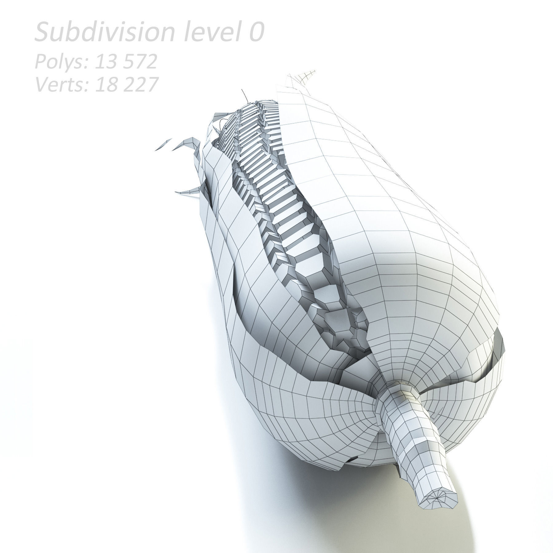 Realistic Corn ear of 3D model | CGTrader