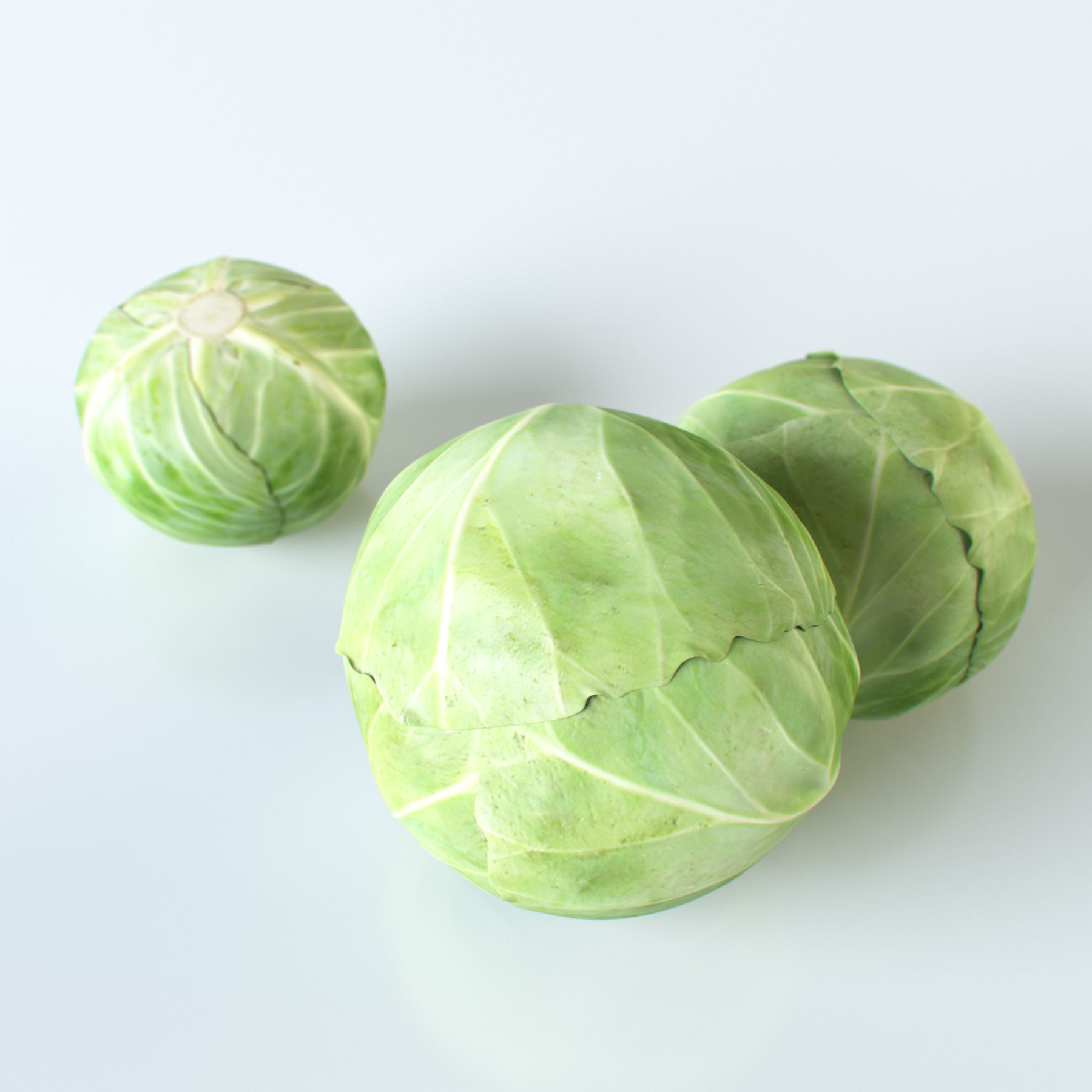 Cabbage 3D model | CGTrader