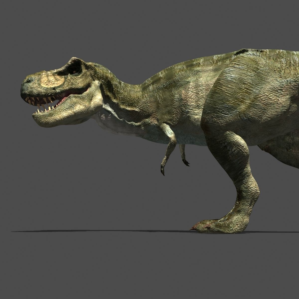 MY SPECIAL DINOSAUR PACK - rex 3d model 3D model animated rigged | CGTrader
