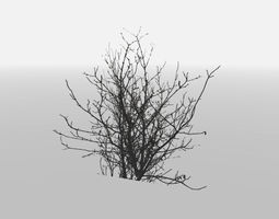 Free Bush 3D Models | CGTrader