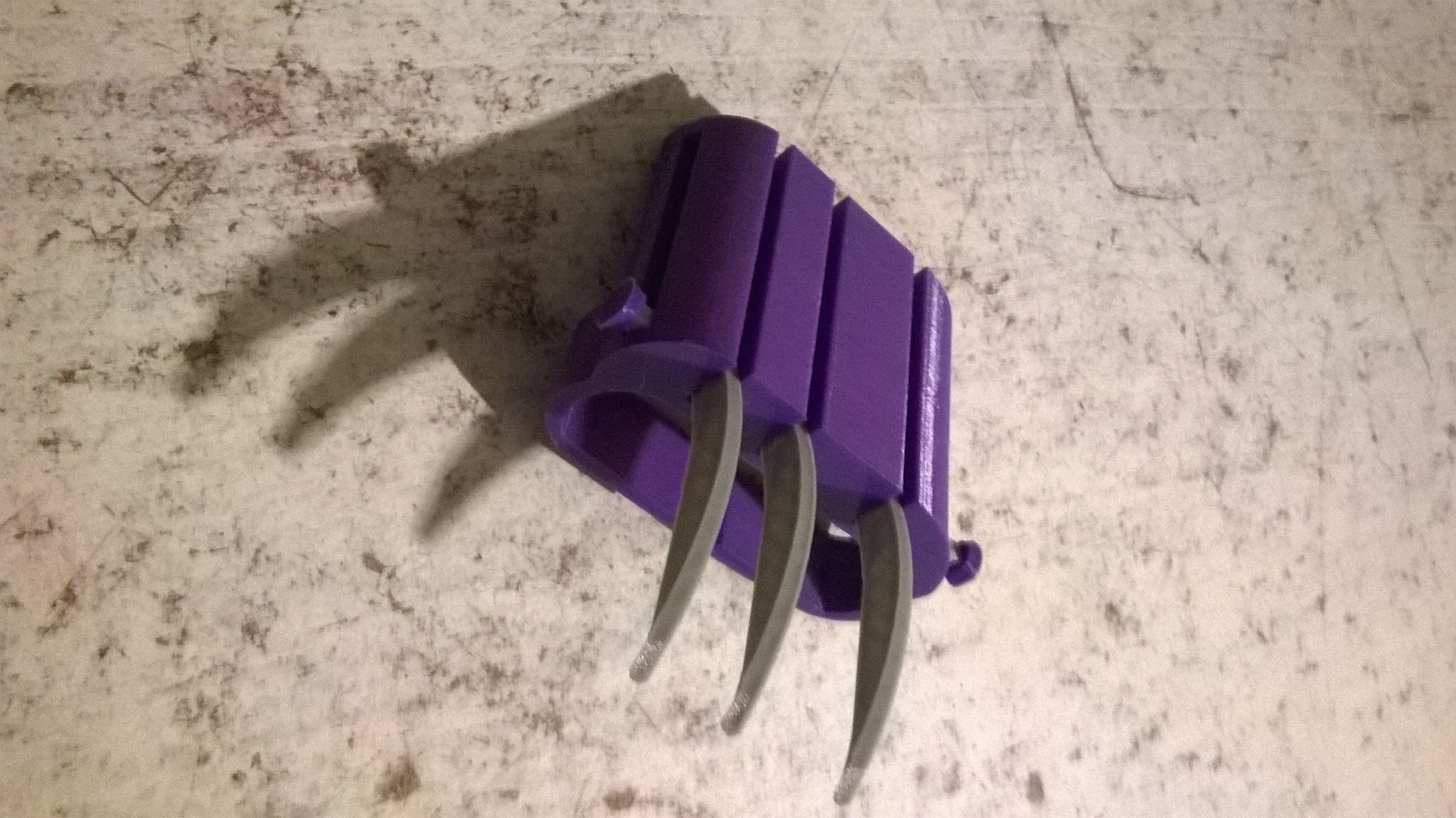 Tiger paw 3D model 3D printable | CGTrader