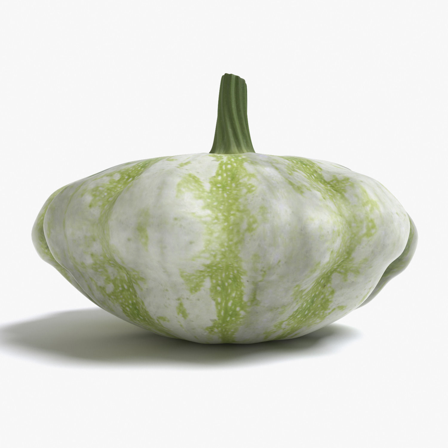Squash 3D model | CGTrader