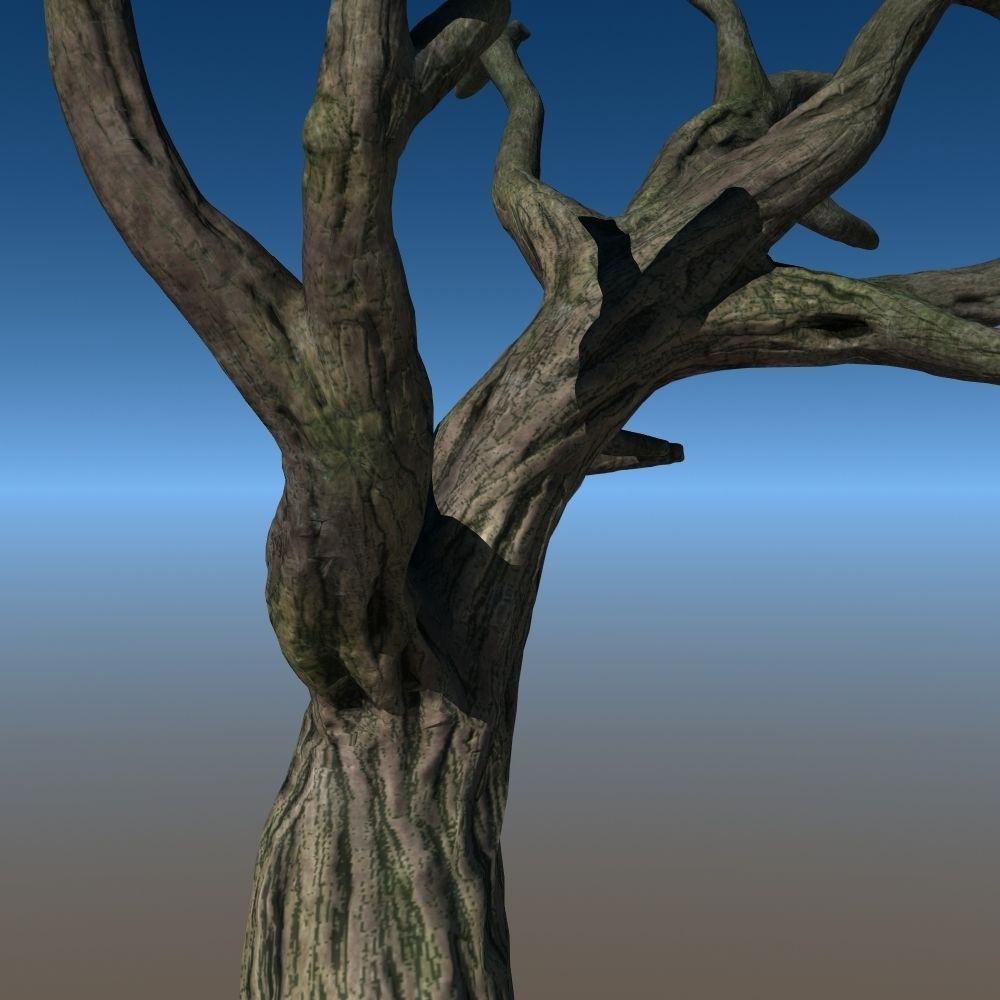 Spooky Tree 3D model | CGTrader