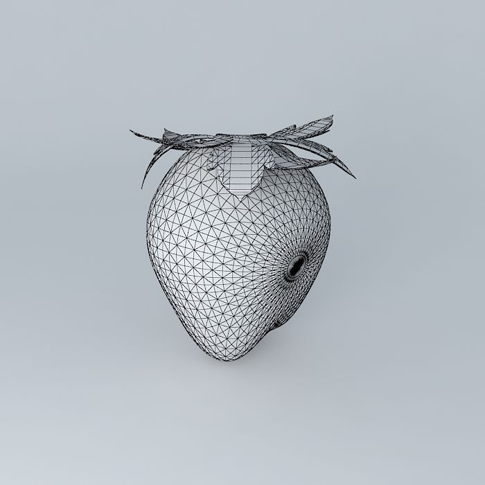 Strawberry free 3D model | CGTrader