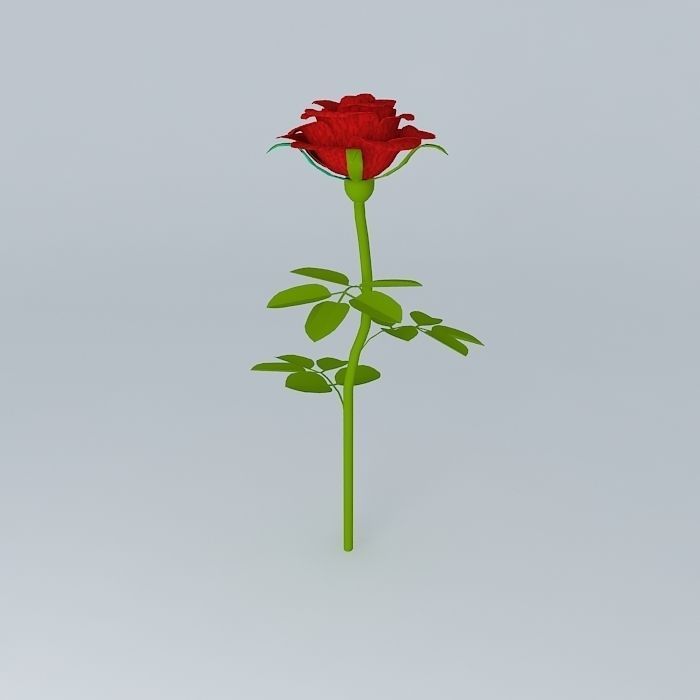 Fabulous red rouse free 3D model | CGTrader