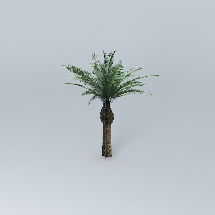 Date Palm Tree free 3D model | CGTrader