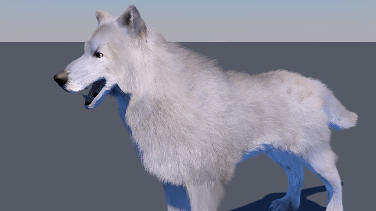 3D model White wolf FUR RIGGED VR / AR / low-poly rigged | CGTrader