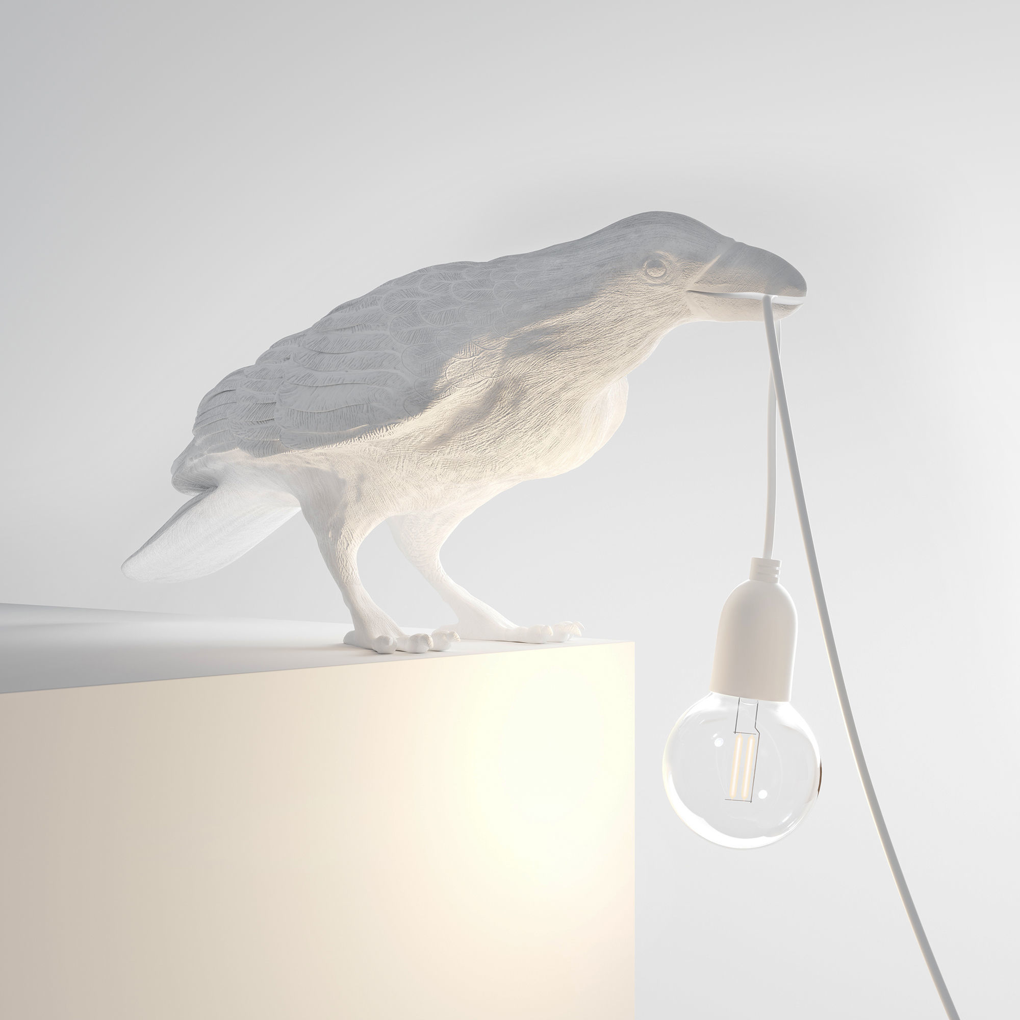 Seletti Bird lamp 3D model | CGTrader