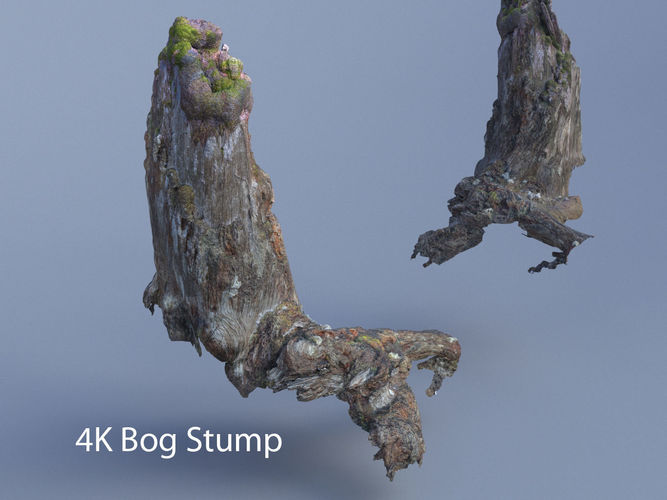 3D model Old Bog Stump VR / AR / low-poly | CGTrader