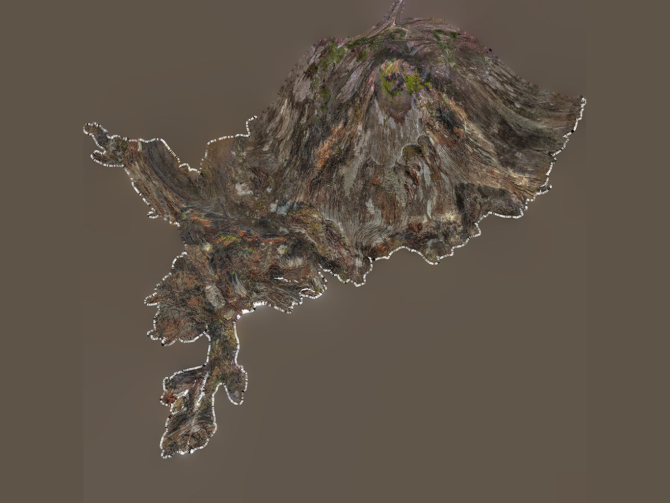 3D model Old Bog Stump VR / AR / low-poly | CGTrader