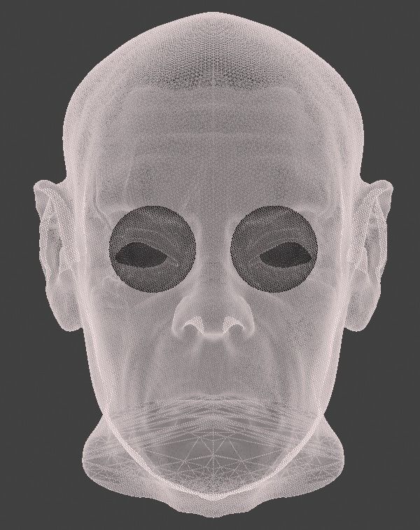 Male Human Head free 3D model | CGTrader