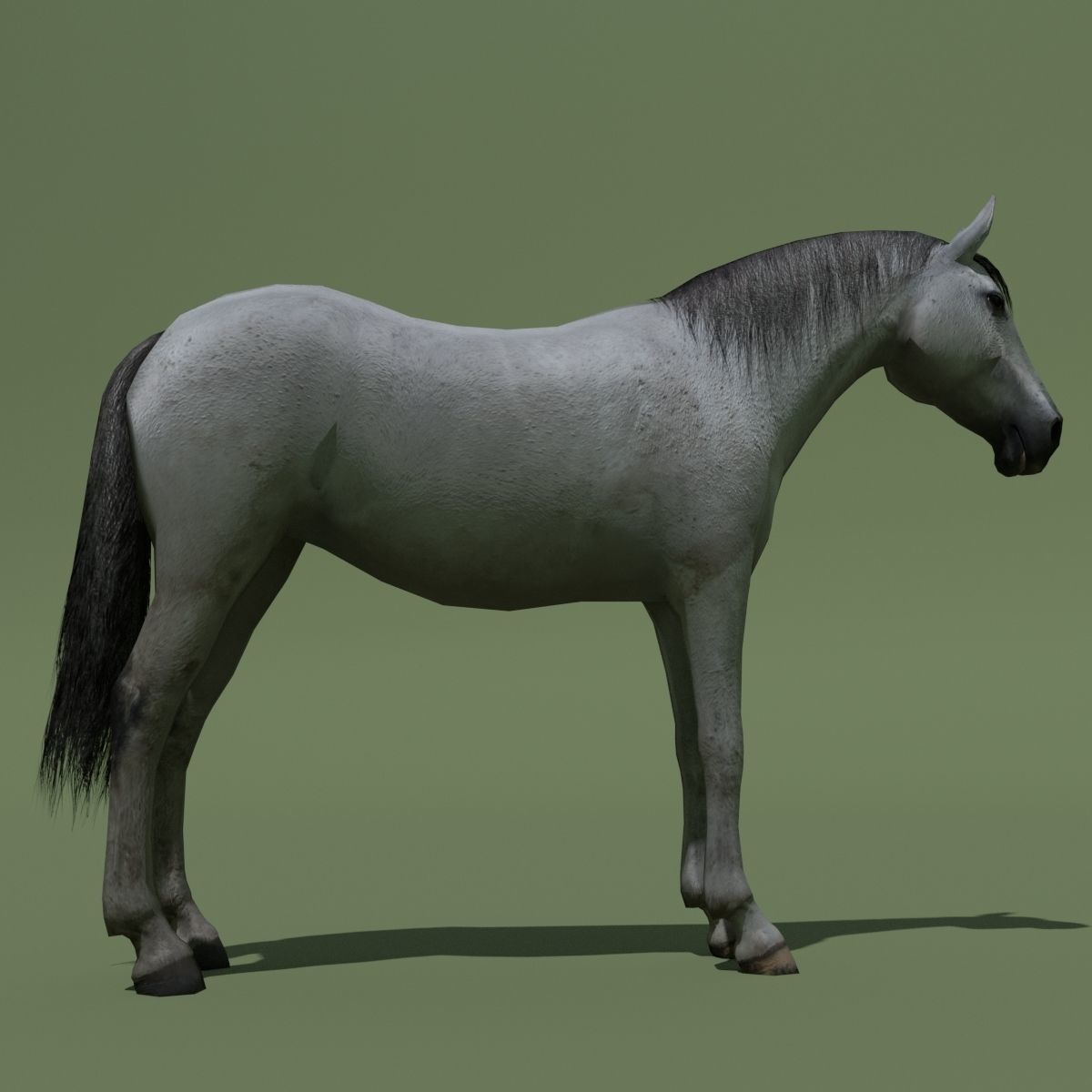 3D model LowPoly Horses 10 colours VR / AR / low-poly | CGTrader