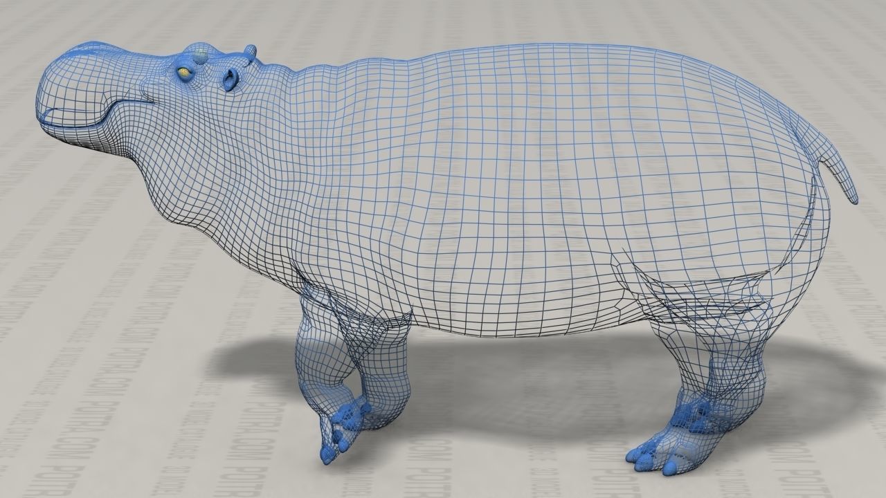 Hippo - Hippopotamus Amphibius - Adult Male - Pose 1 - Textured 3D ...
