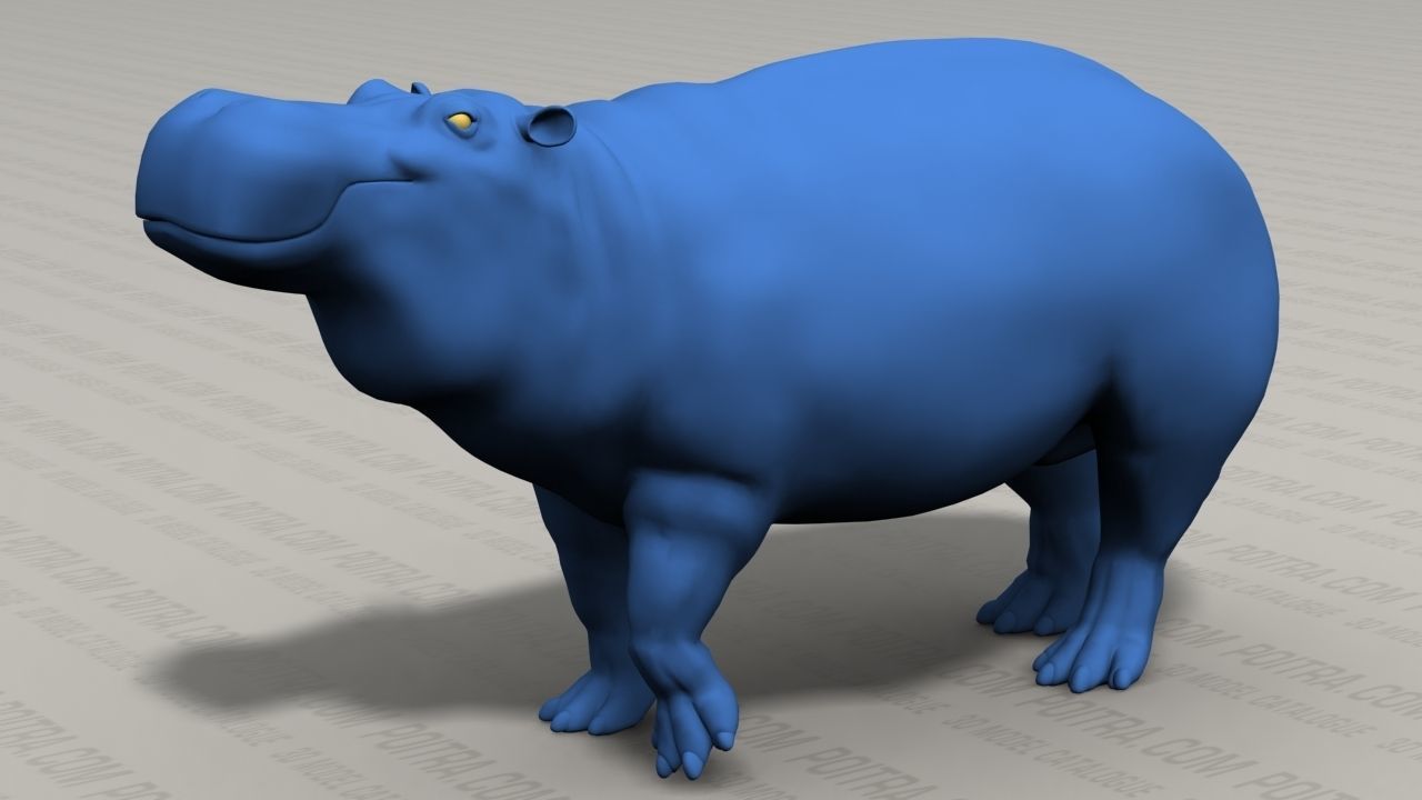 Hippo - Hippopotamus Amphibius - Adult Male - Pose 1 - Textured 3D ...