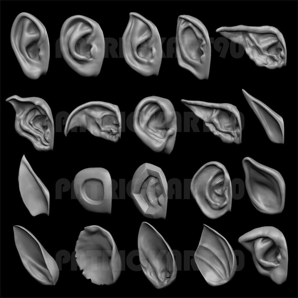 ears 3D model with high poly and low poly 3D model | CGTrader