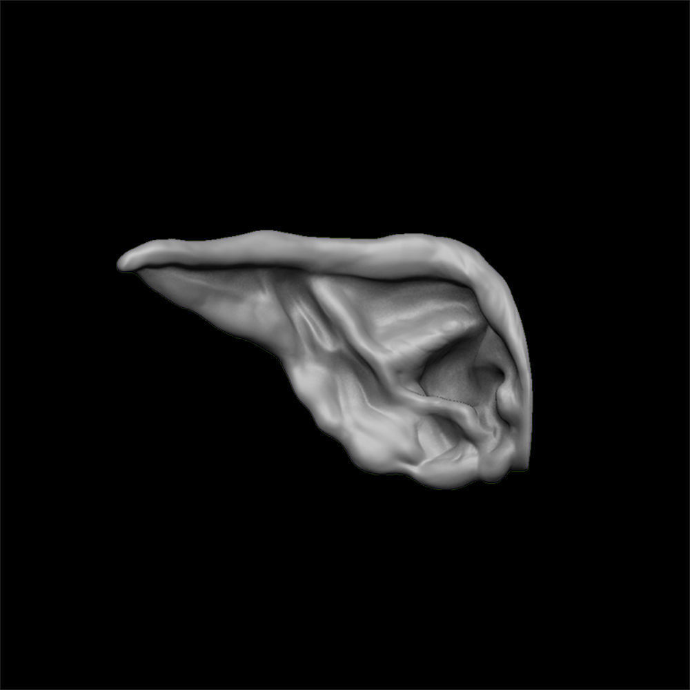 ears 3D model with high poly and low poly 3D model | CGTrader