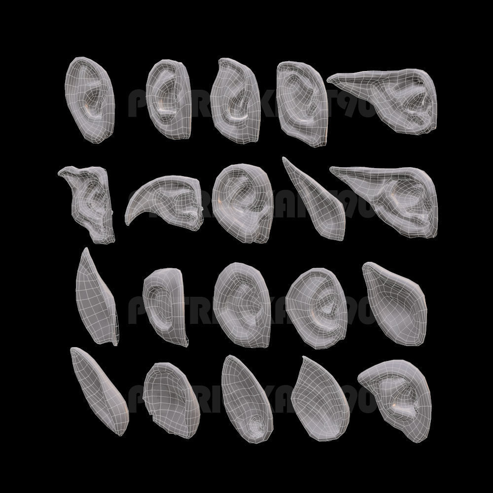 ears 3D model with high poly and low poly 3D model | CGTrader