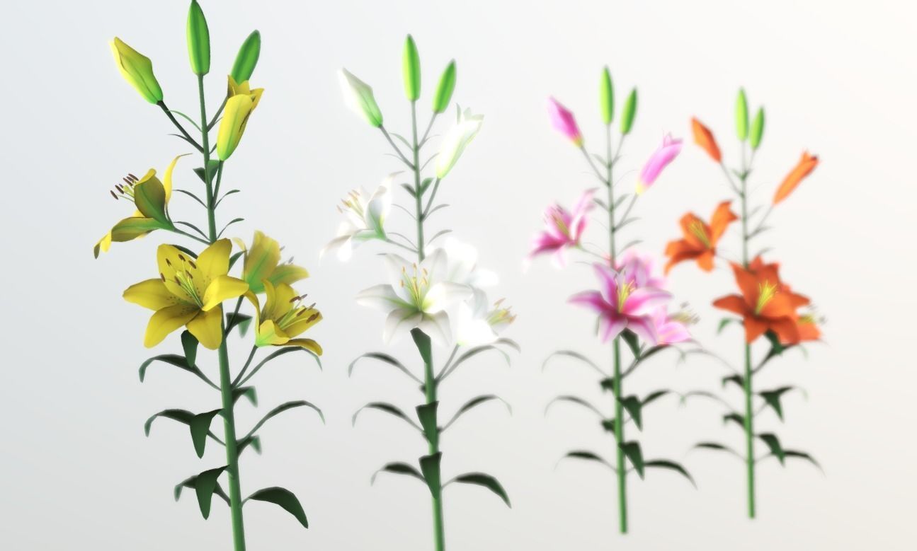 Flower LiLi 3D model | CGTrader