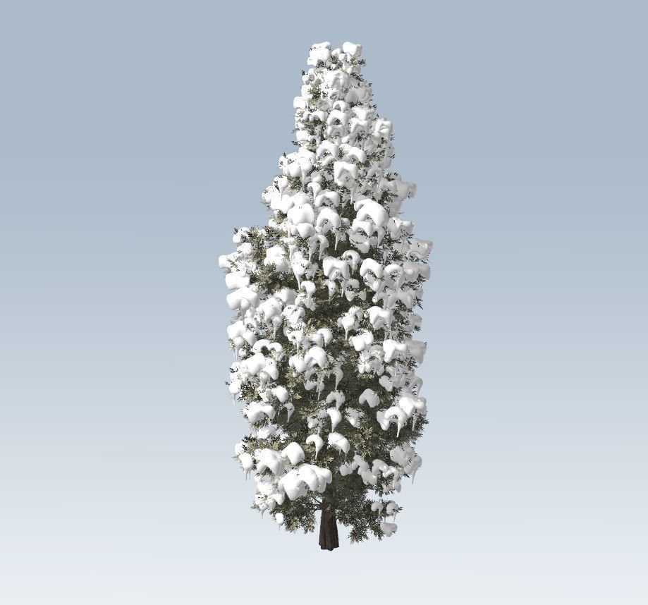 Winter cedar tree 3D model | CGTrader