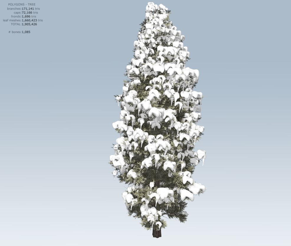 Winter cedar tree 3D model | CGTrader