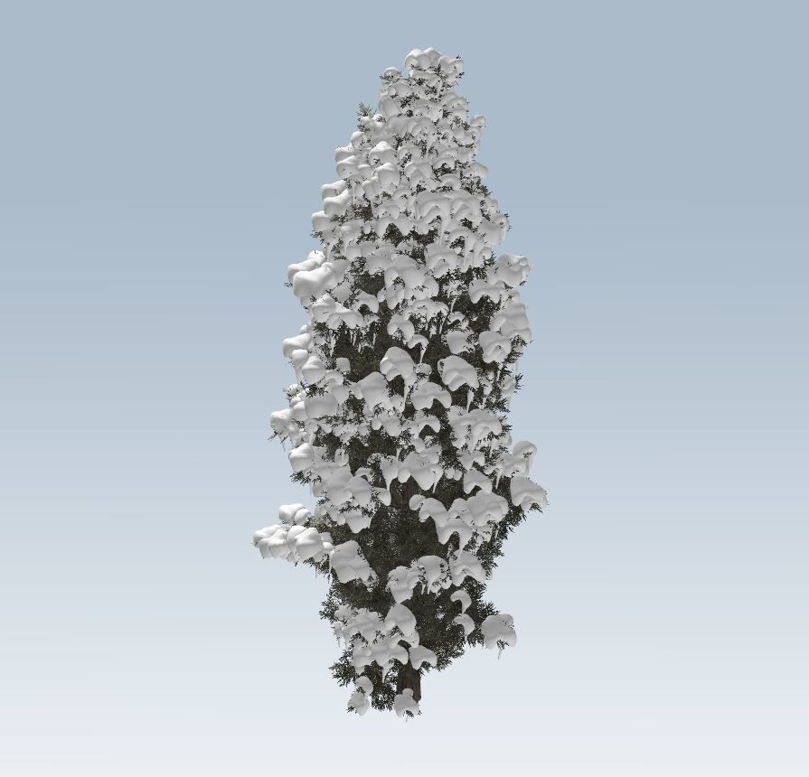 Winter cedar tree 3D model | CGTrader