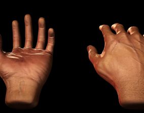 Rigged Hand 3D Models | CGTrader