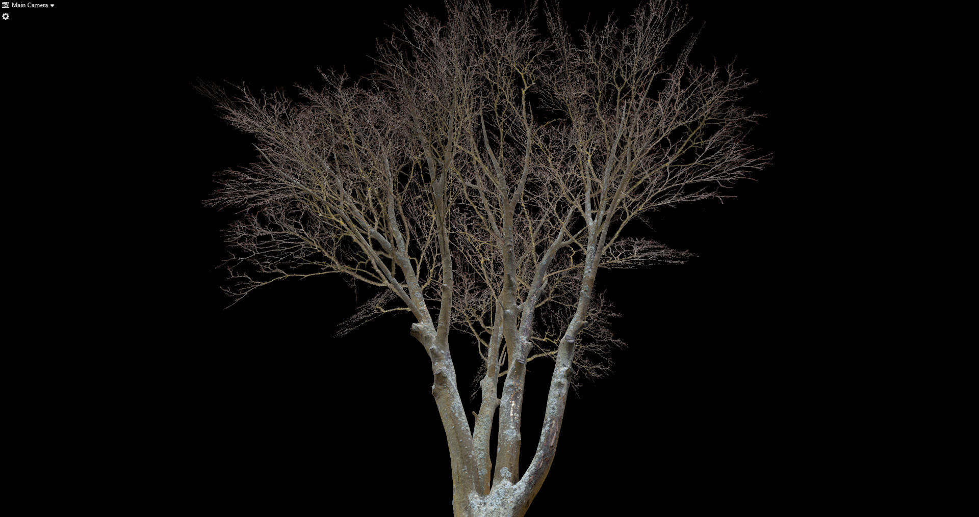 3D model Autumn Dry Tree Scan Full-Size VR / AR / low-poly | CGTrader