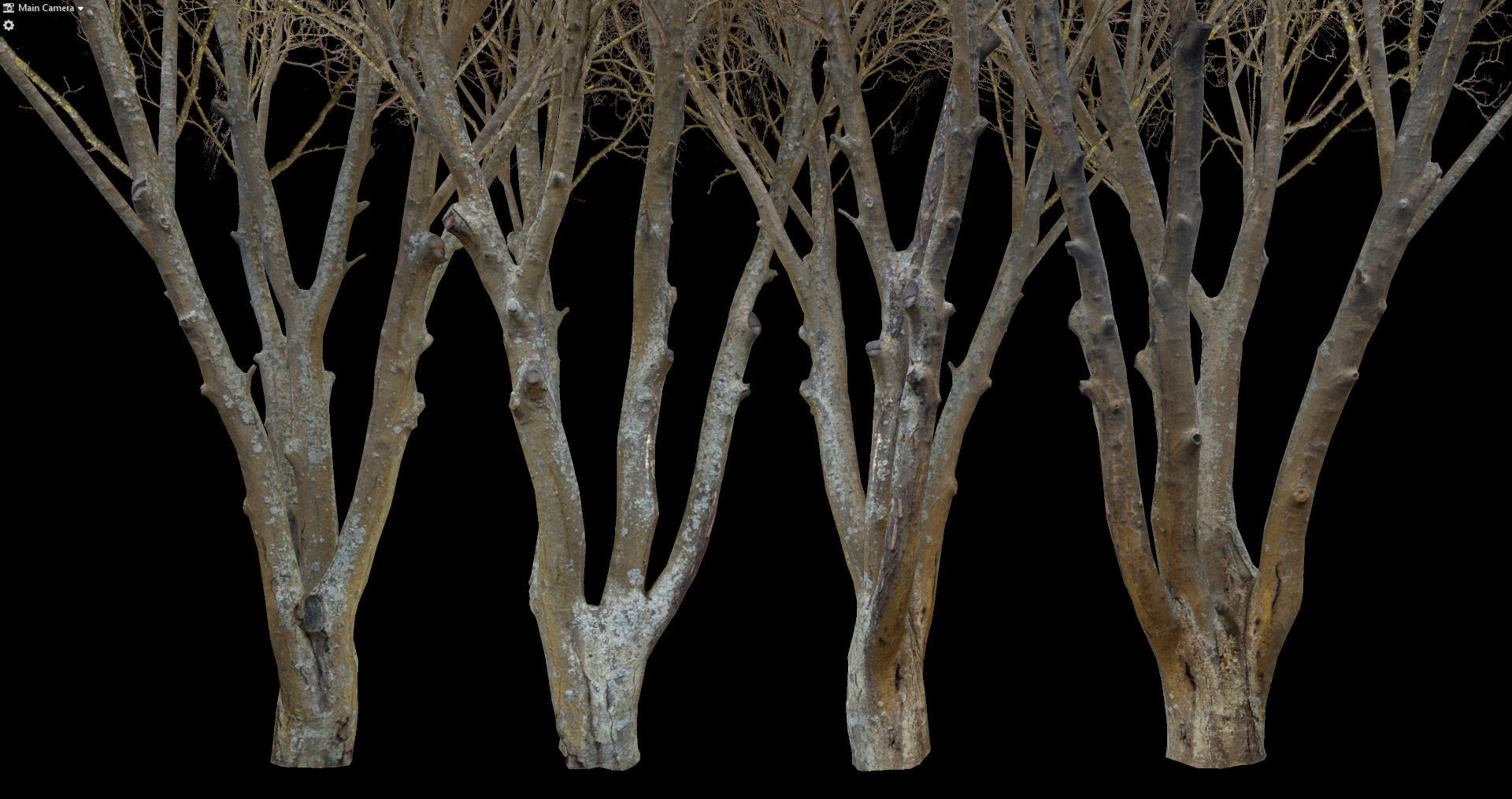 3D model Autumn Dry Tree Scan Full-Size VR / AR / low-poly | CGTrader