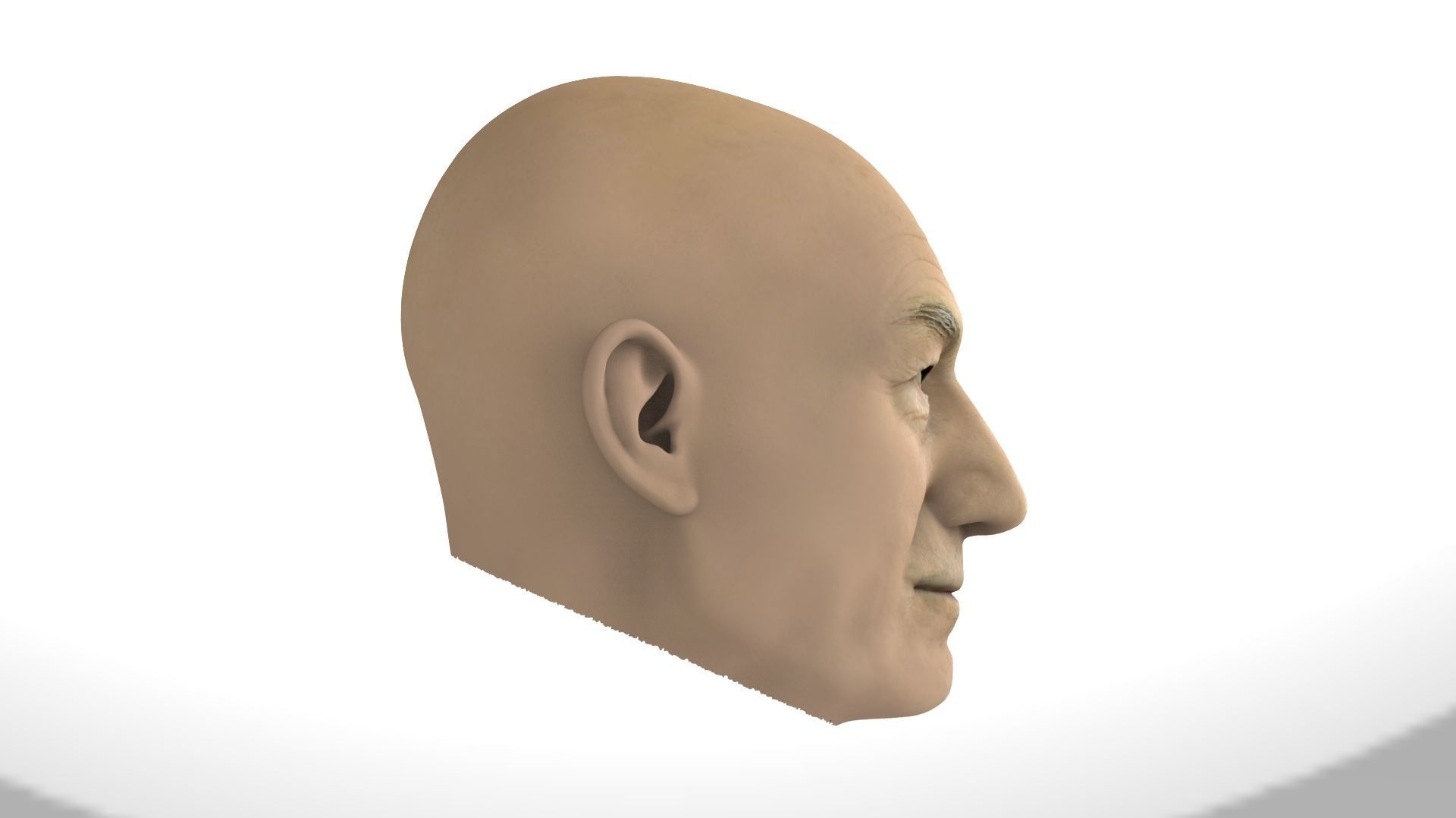 Patrick Stewart 3D model | CGTrader