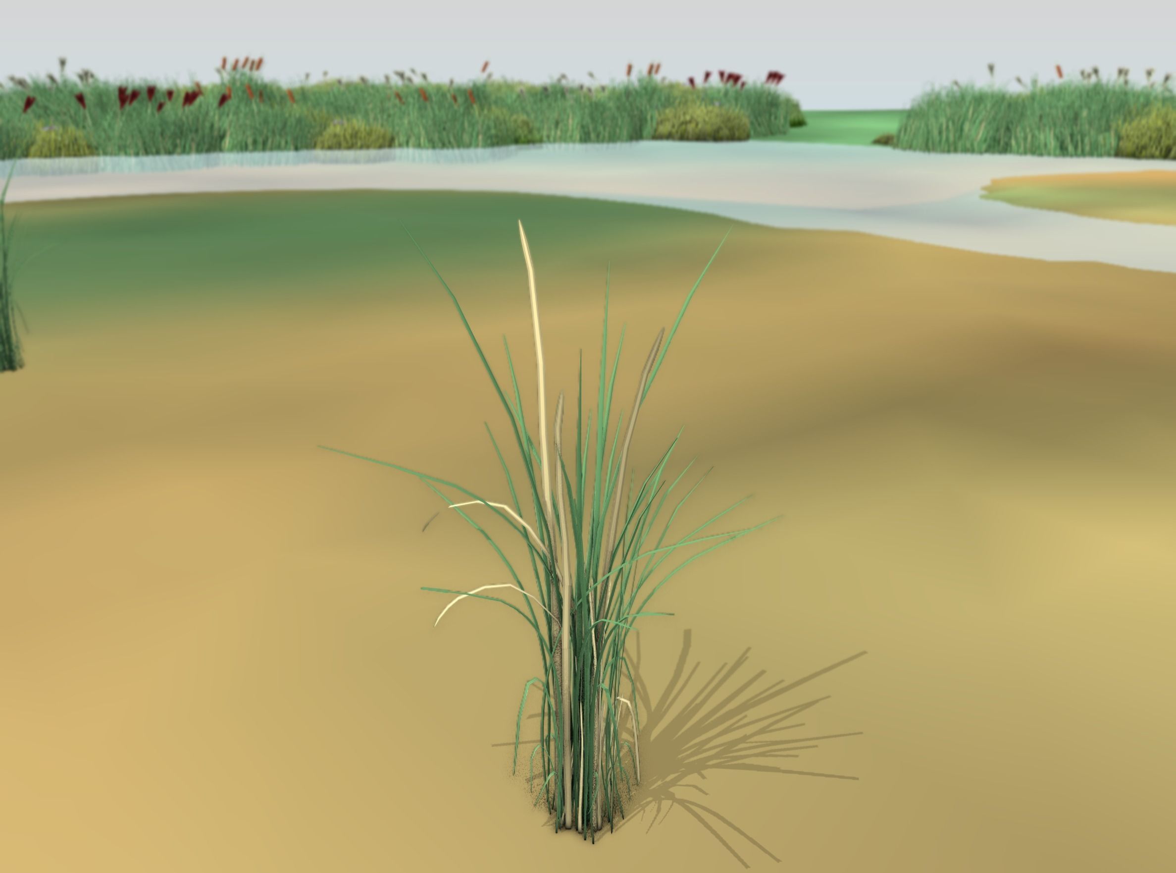3D model Reeds - Object 40 VR / AR / low-poly | CGTrader 3D model Reeds - Object 40 VR / AR / low-poly | CGTrader