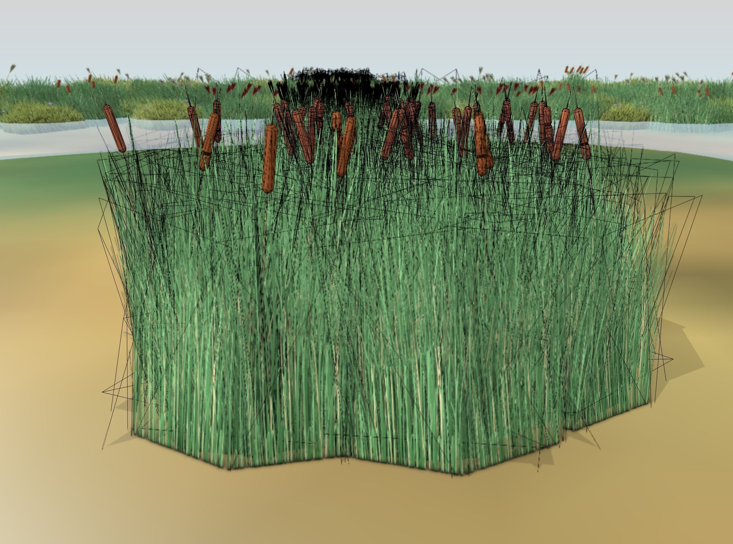 3D model Reeds - Object 59 VR / AR / low-poly | CGTrader 3D model Reeds - Object 59 VR / AR / low-poly | CGTrader