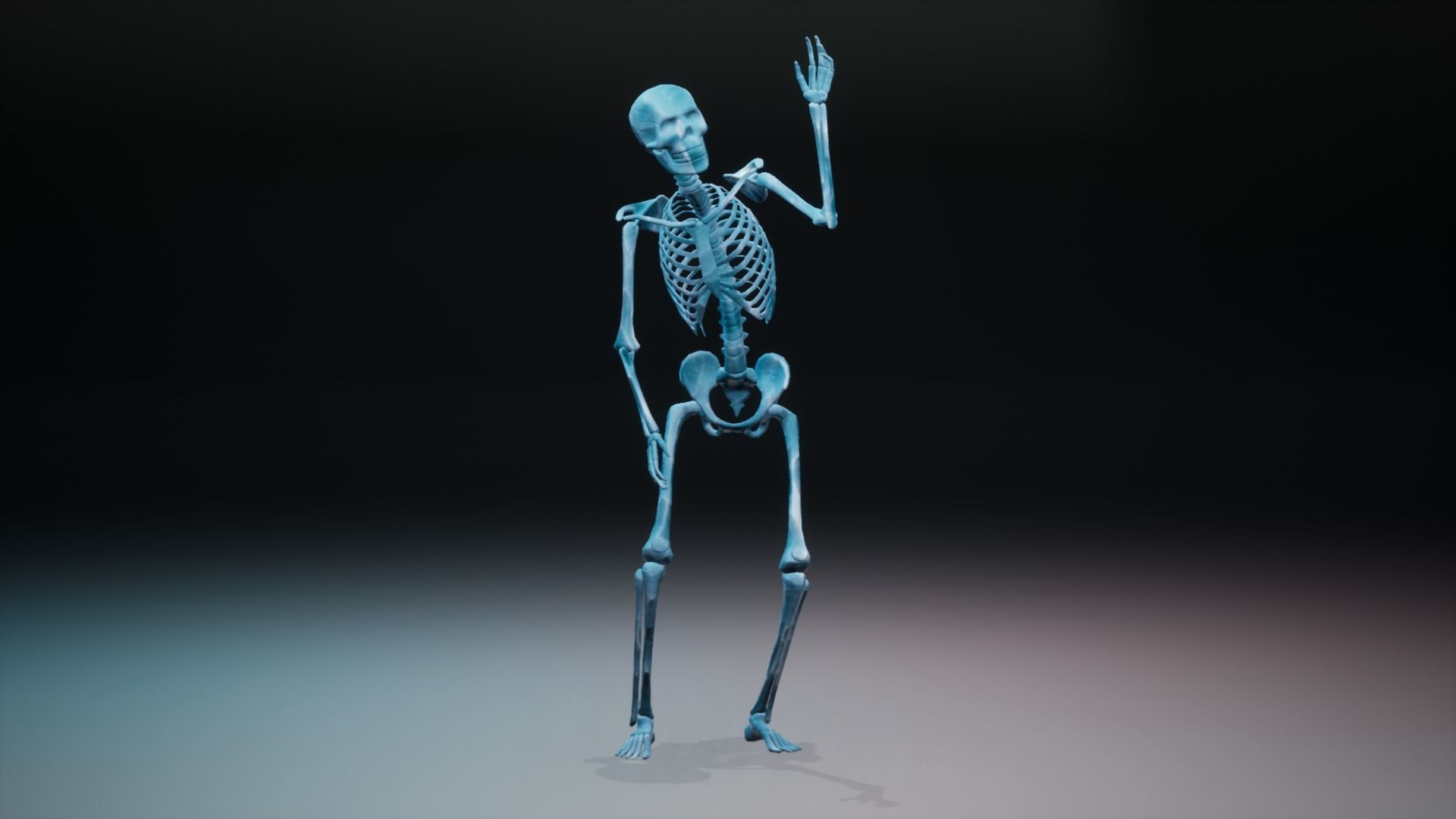 3D model Skeleton low poly and high poly 3D model VR / AR / low-poly ...