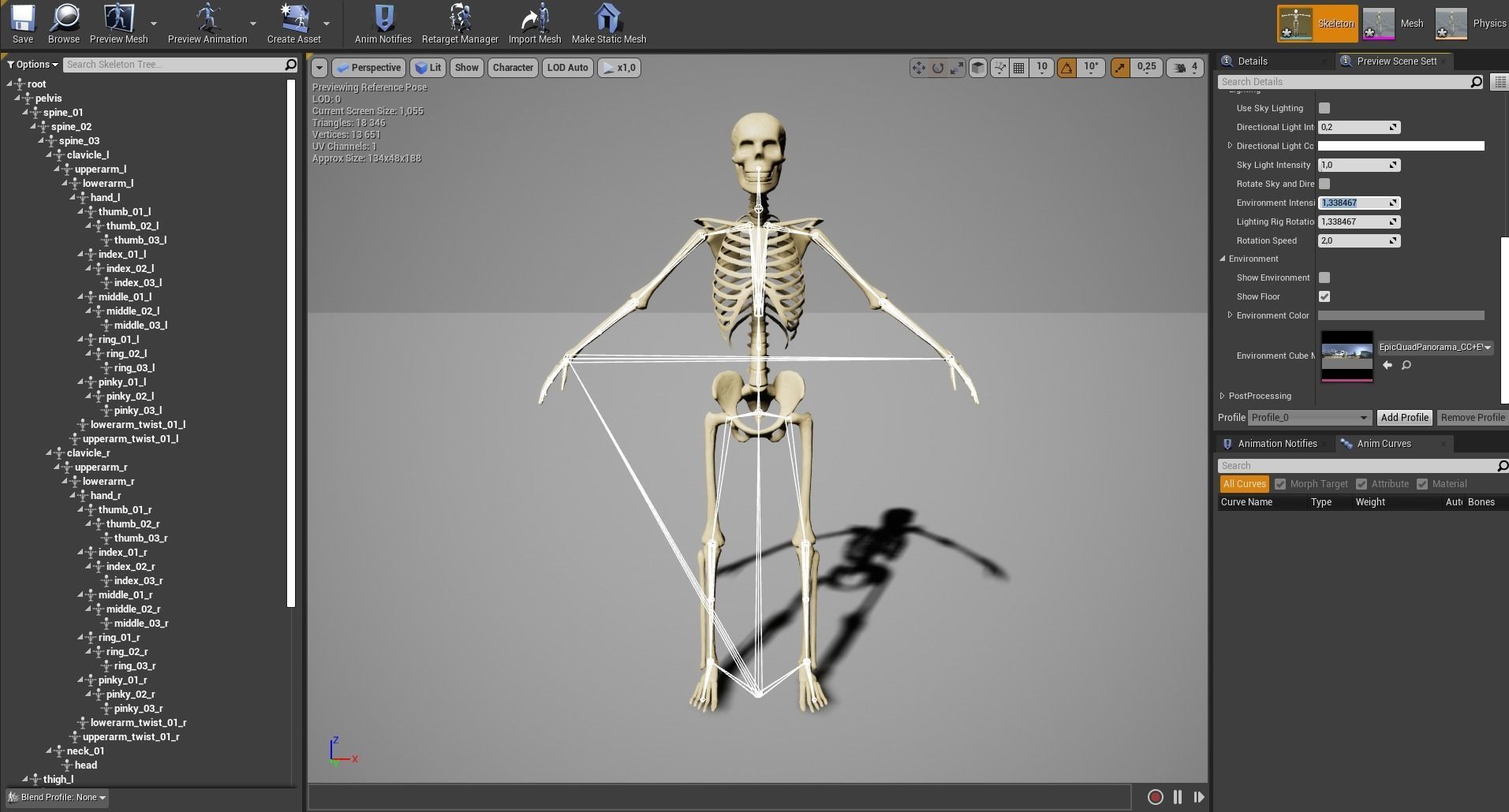 3D model Skeleton low poly and high poly 3D model VR / AR / low-poly ...