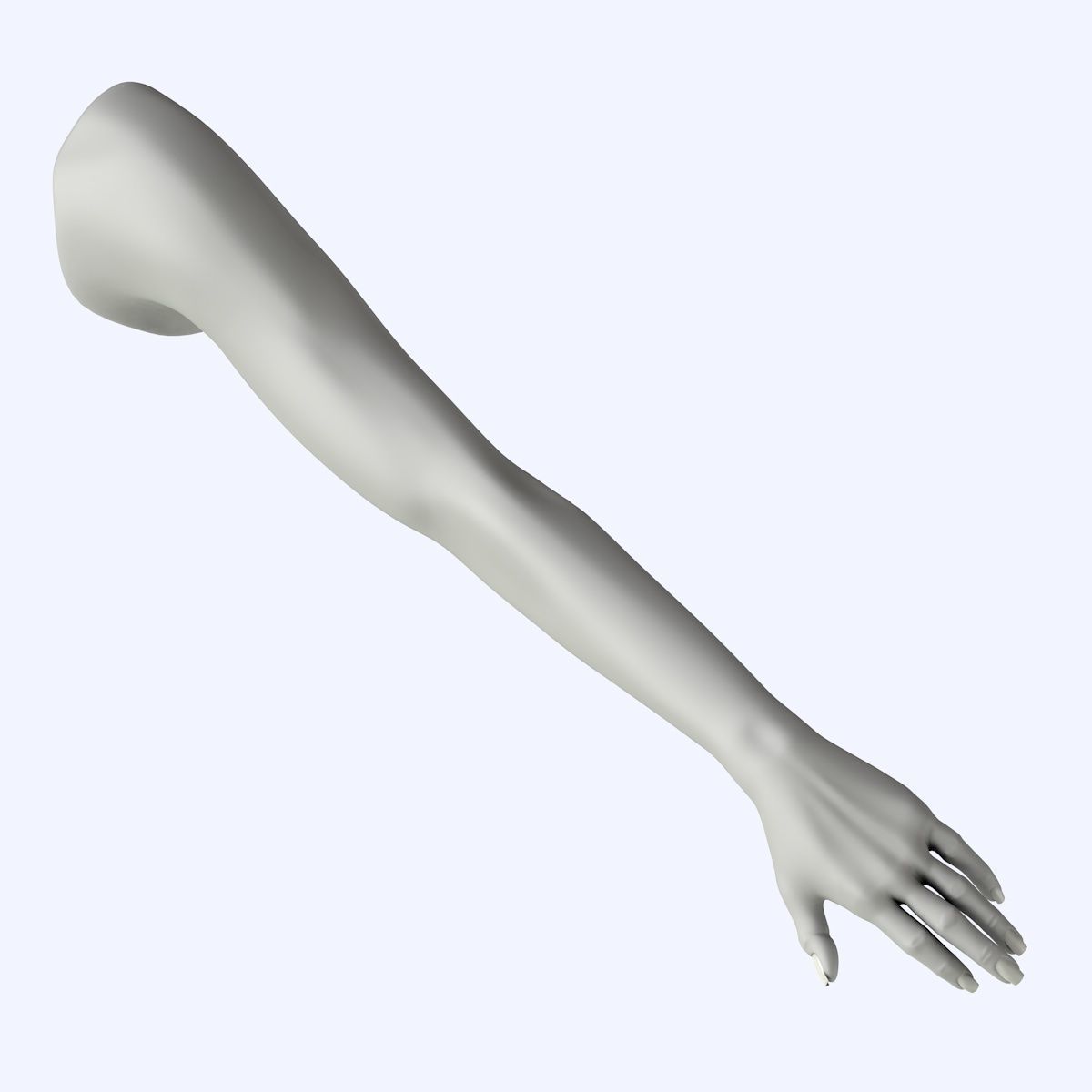 3D model Arm left without texture 3d model female VR / AR / low-poly ...