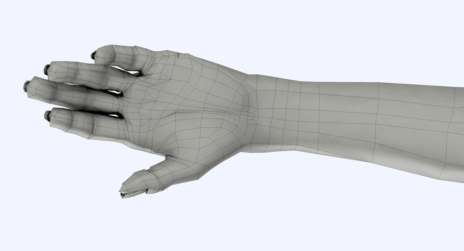 3D model Arm left without texture 3d model female VR / AR / low-poly ...