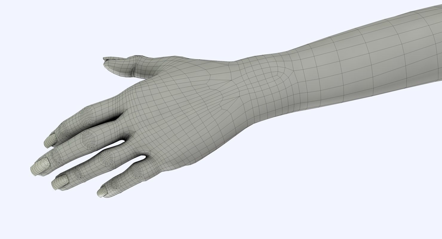 3D model Arm left without texture 3d model female VR / AR / low-poly ...