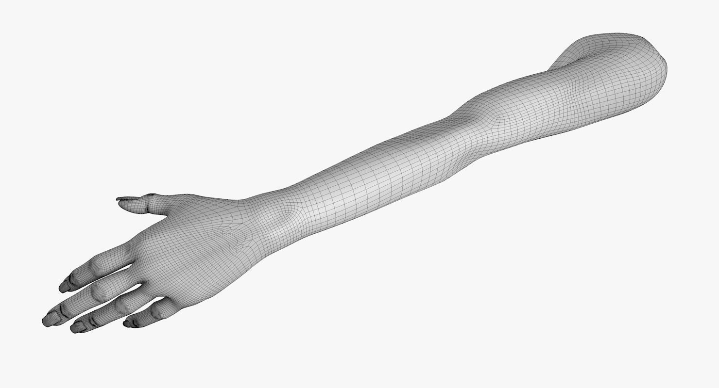 3D model Arm left without texture 3d model female VR / AR / low-poly ...