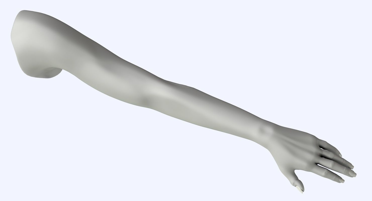 3D model Arm left without texture 3d model female VR / AR / low-poly ...