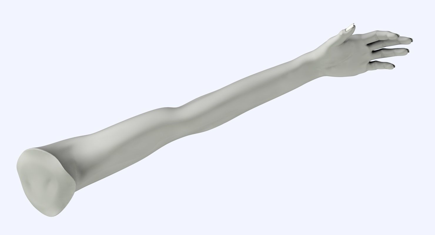 3D model Arm left without texture 3d model female VR / AR / low-poly ...