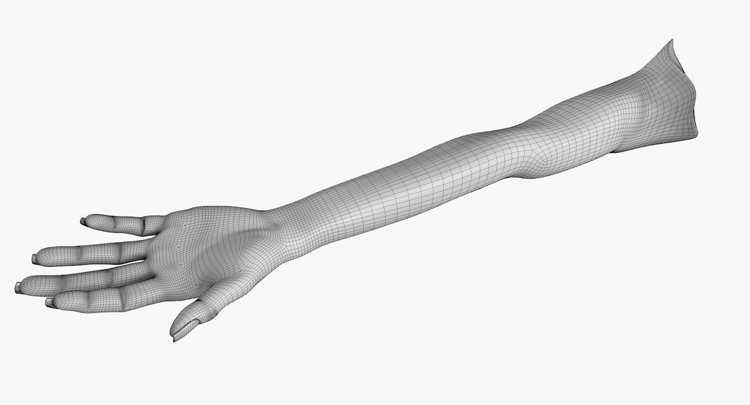 3D model Arm left without texture 3d model female VR / AR / low-poly ...