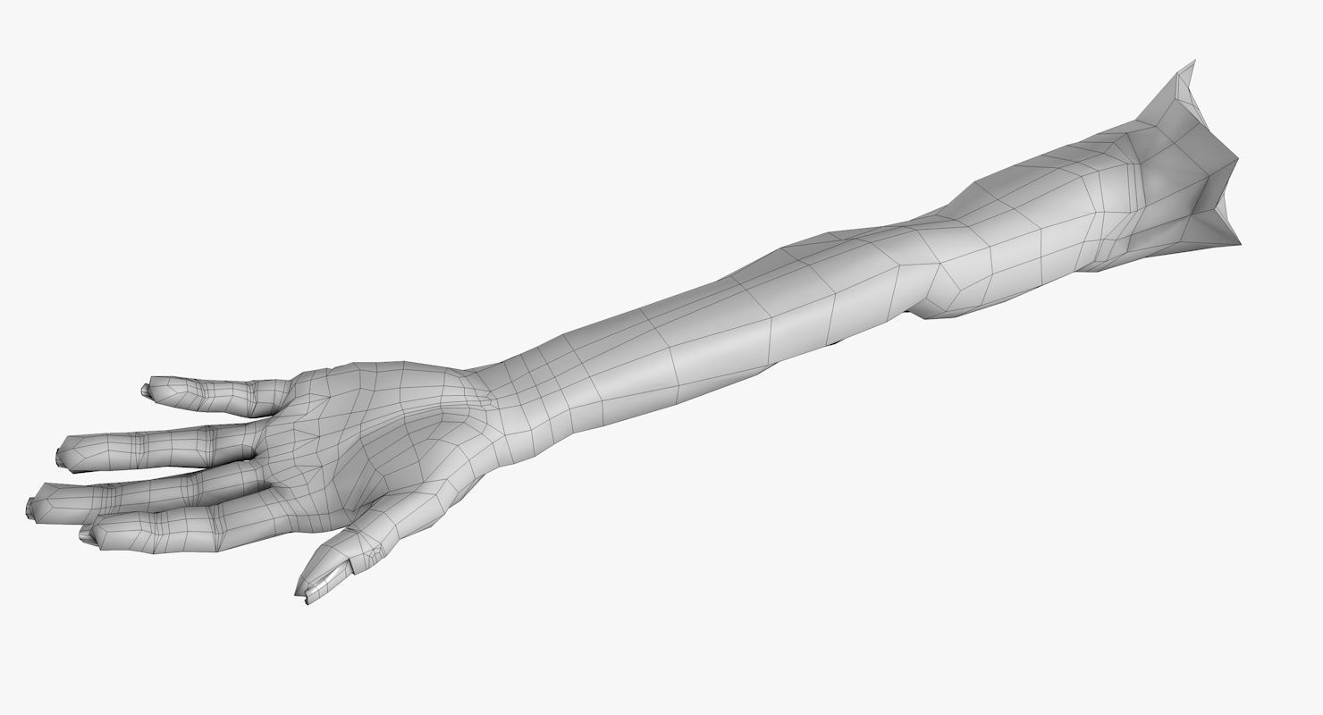 3D model Arm left without texture 3d model female VR / AR / low-poly ...