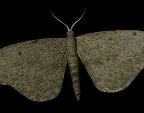 Moth 3D Models | CGTrader